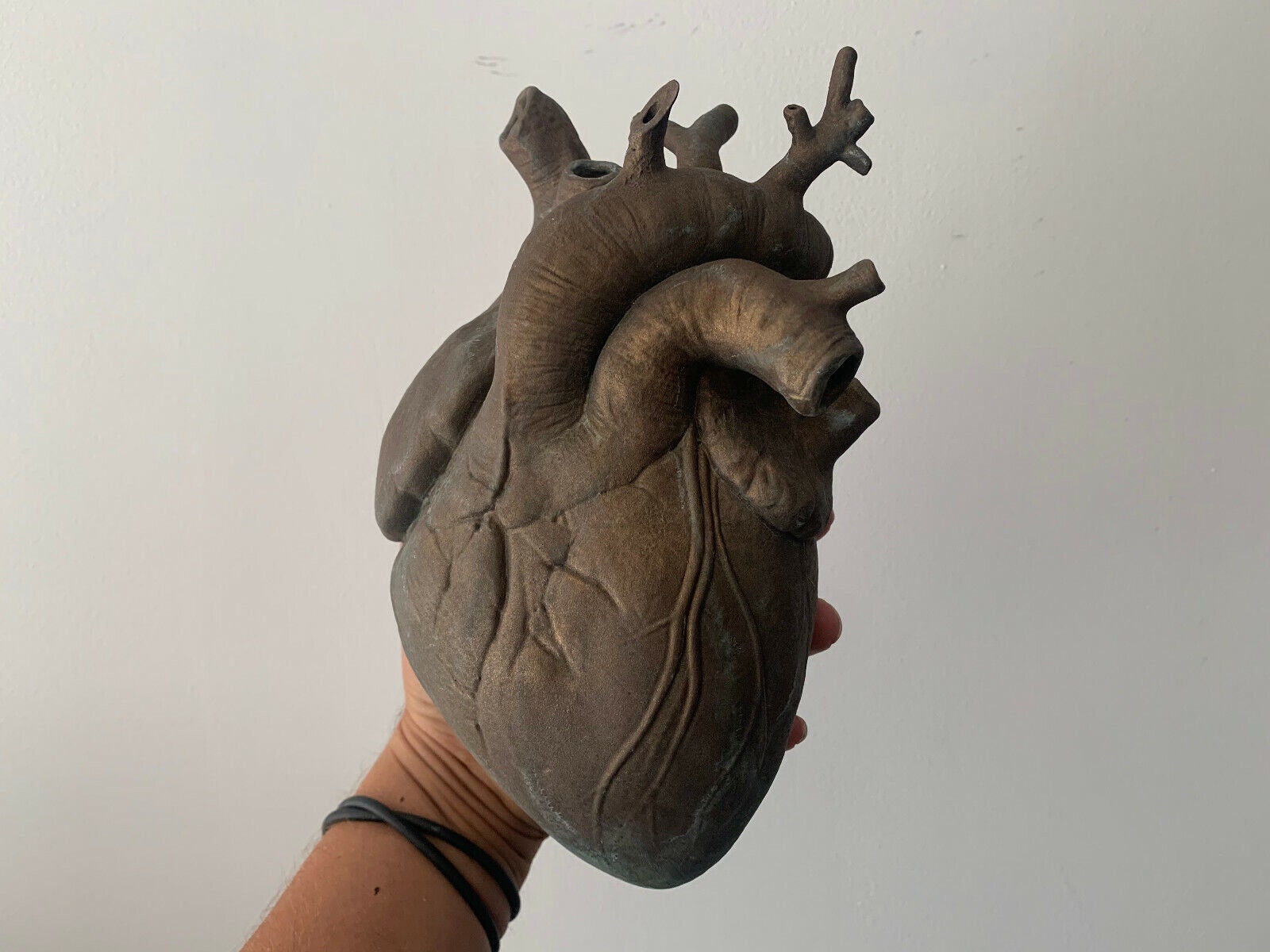 Oddities Cabinet of Curiosities Giant Anatomical Heart Bronze Effect - Etsy