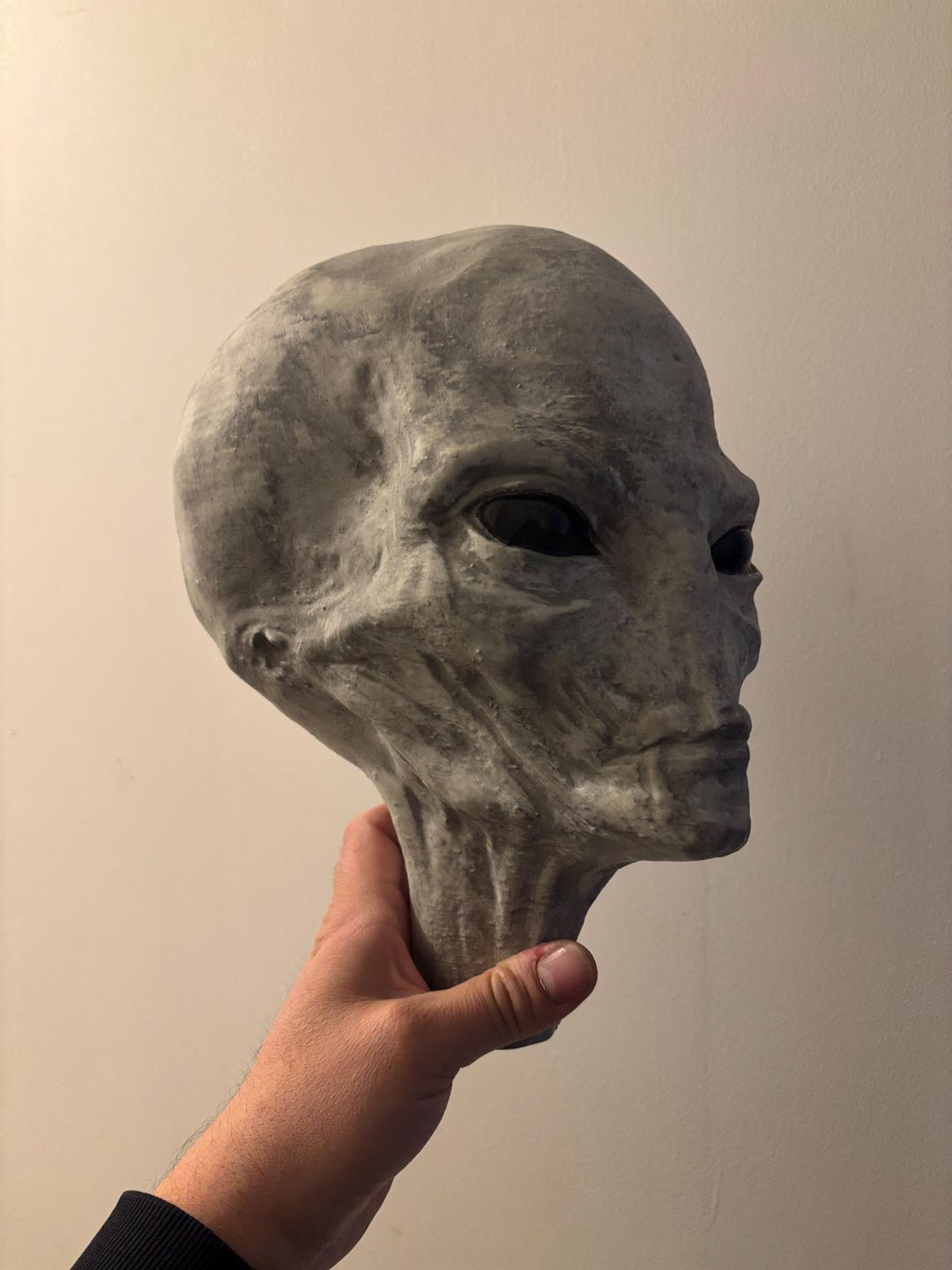 Alien Head Trophy / Oddities / Cabinet of Curiosities / Area 51 ...
