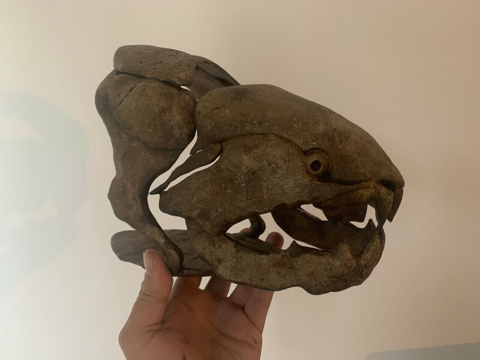 Fossil / Replica of Dunkleosteus Fish Head Museum Quality Fossil - Etsy
