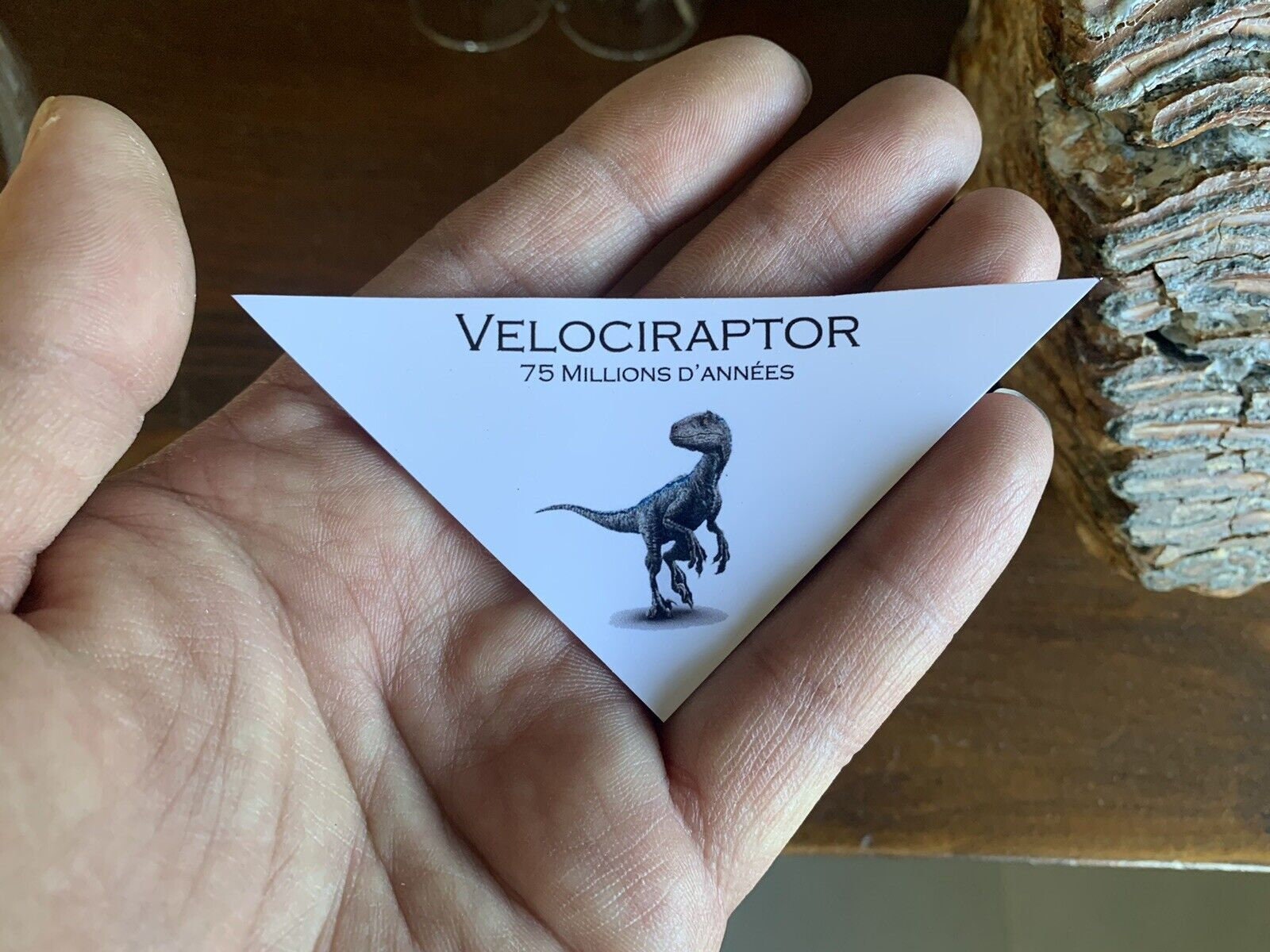 Velociraptor Claw Replica 10 Cm - Etsy