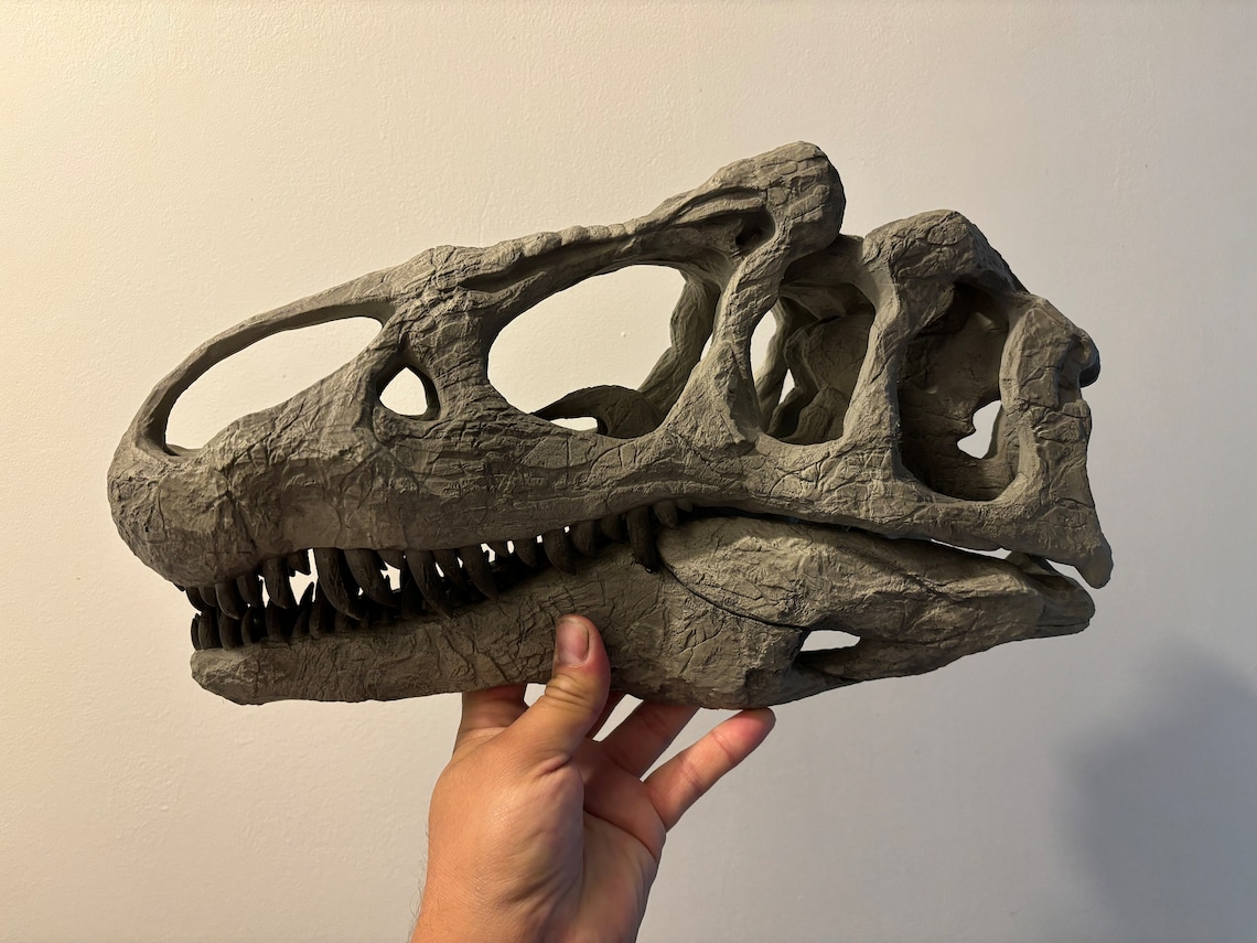 Dinosaur Skull of Allosaurus Big Al Replica Dinosaur Fossil Skull - Etsy