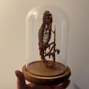 Tyrannosaurus Rex Fetus Skeleton Replica Under Globe - Etsy