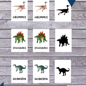 DINOSAURS 43 Editable Montessori Cards Shadow Matching - Etsy