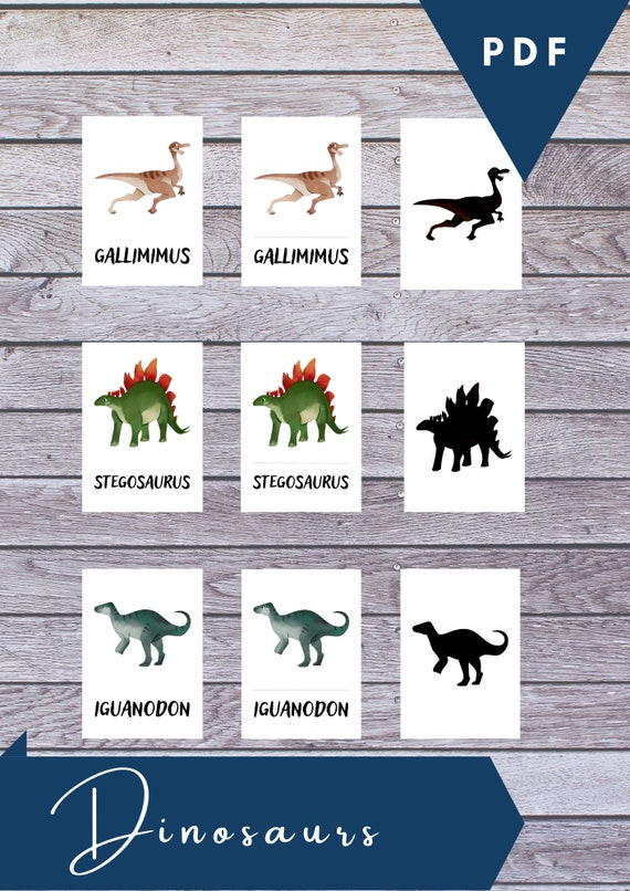 DINOSAURS 43 Editable Montessori Cards Shadow Matching - Etsy