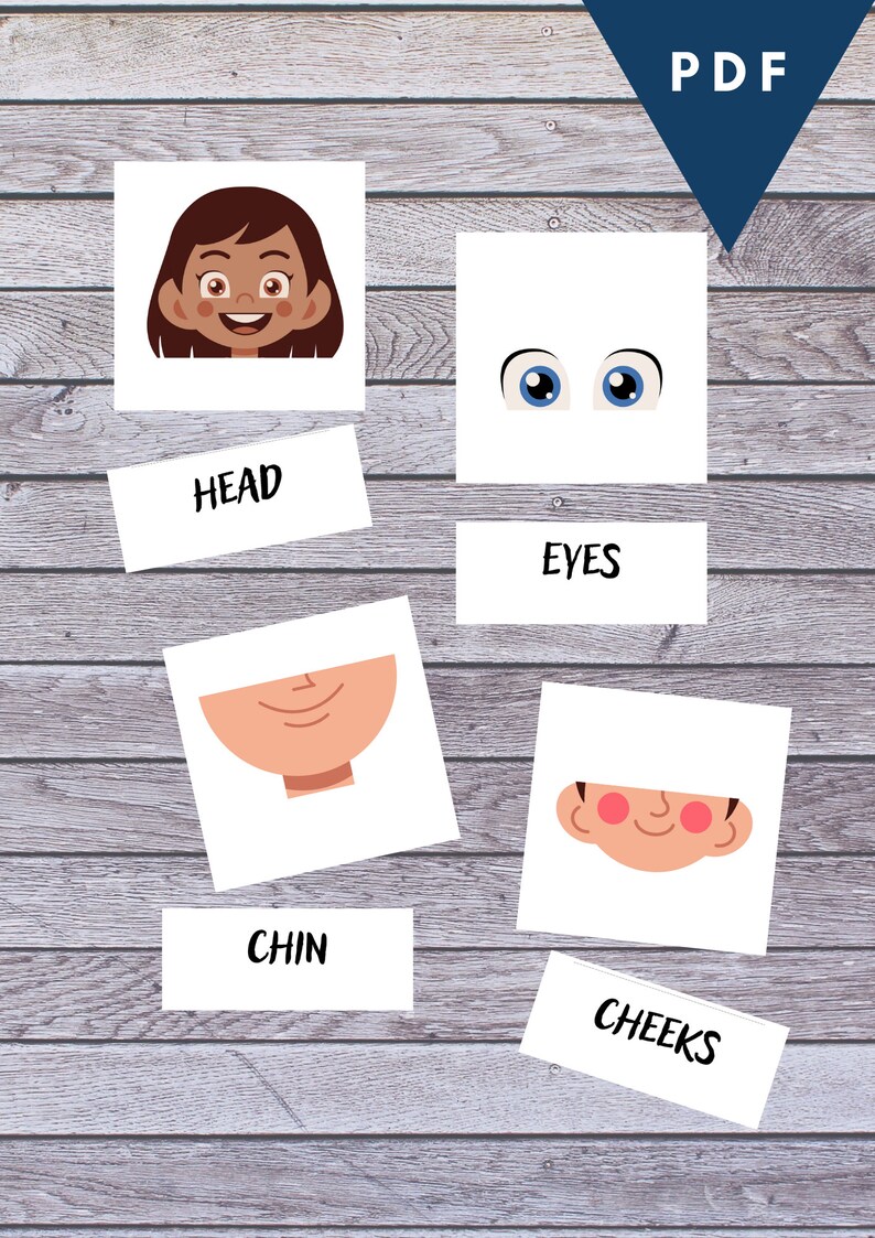 BODYPARTS FLASH CARDS • 54 Montessori Cards • Flash Cards Nomenclature ...