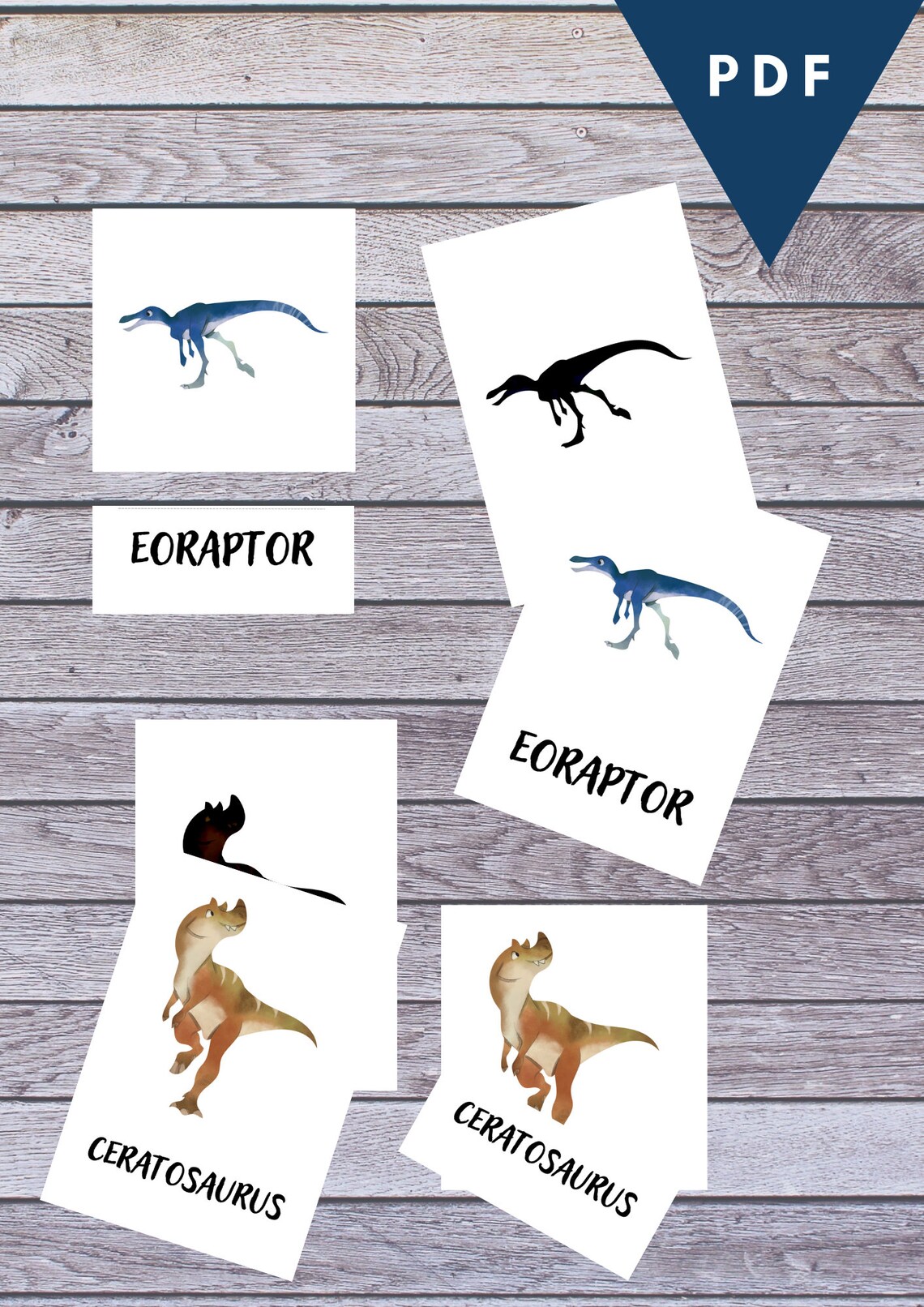 DINOSAURS • 43 Editable Montessori Cards • Shadow Matching Cards ...