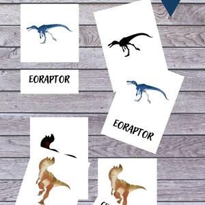 DINOSAURS • 43 Editable Montessori Cards • Shadow Matching Cards ...