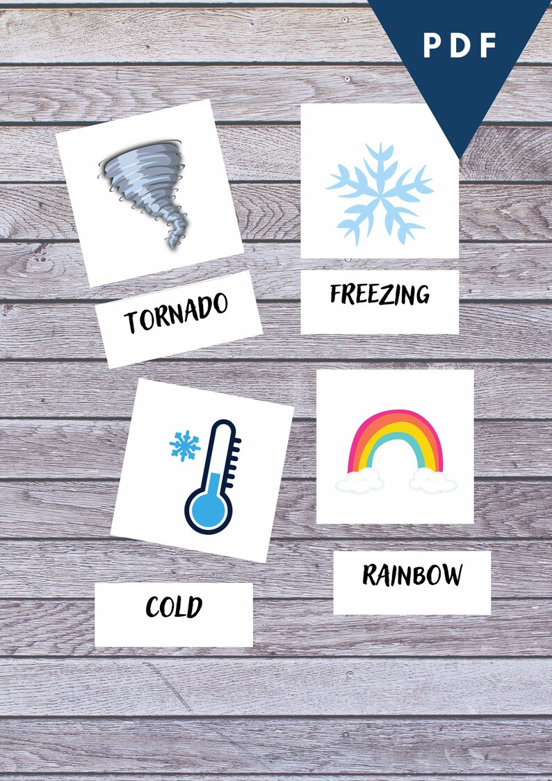 WEATHER FLASH CARDS Nomenclature Flashcards Editable Pdf Printable ...