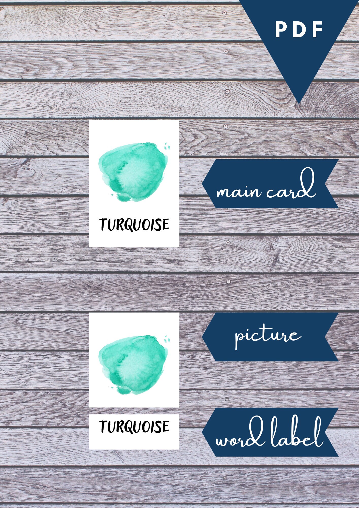 COLORS 24 Editable Montessori Cards Flash Cards Nomenclature Flashcards ...