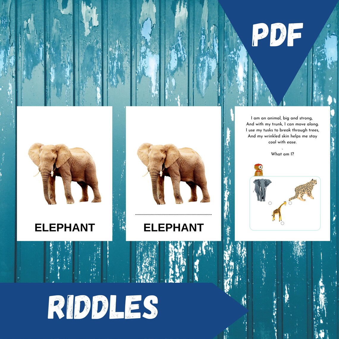 RIDDLES 60 Editable Montessori Cards Riddles Matching - Etsy