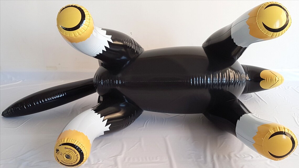 Huge Horse Black Shiny 6 Feet / 190 Cm High Shiny Pool Toy Big ...