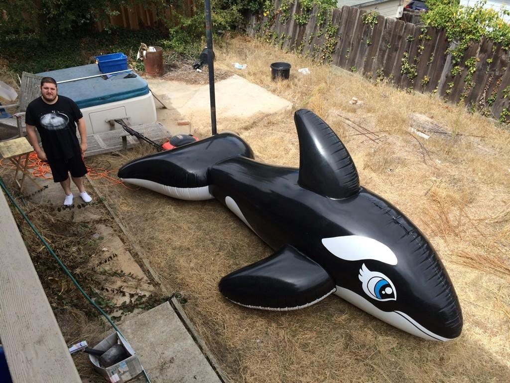 Huge black Whale 16 Feet/5 Meters Shiny Pool Toy Big Inflatable - Etsy