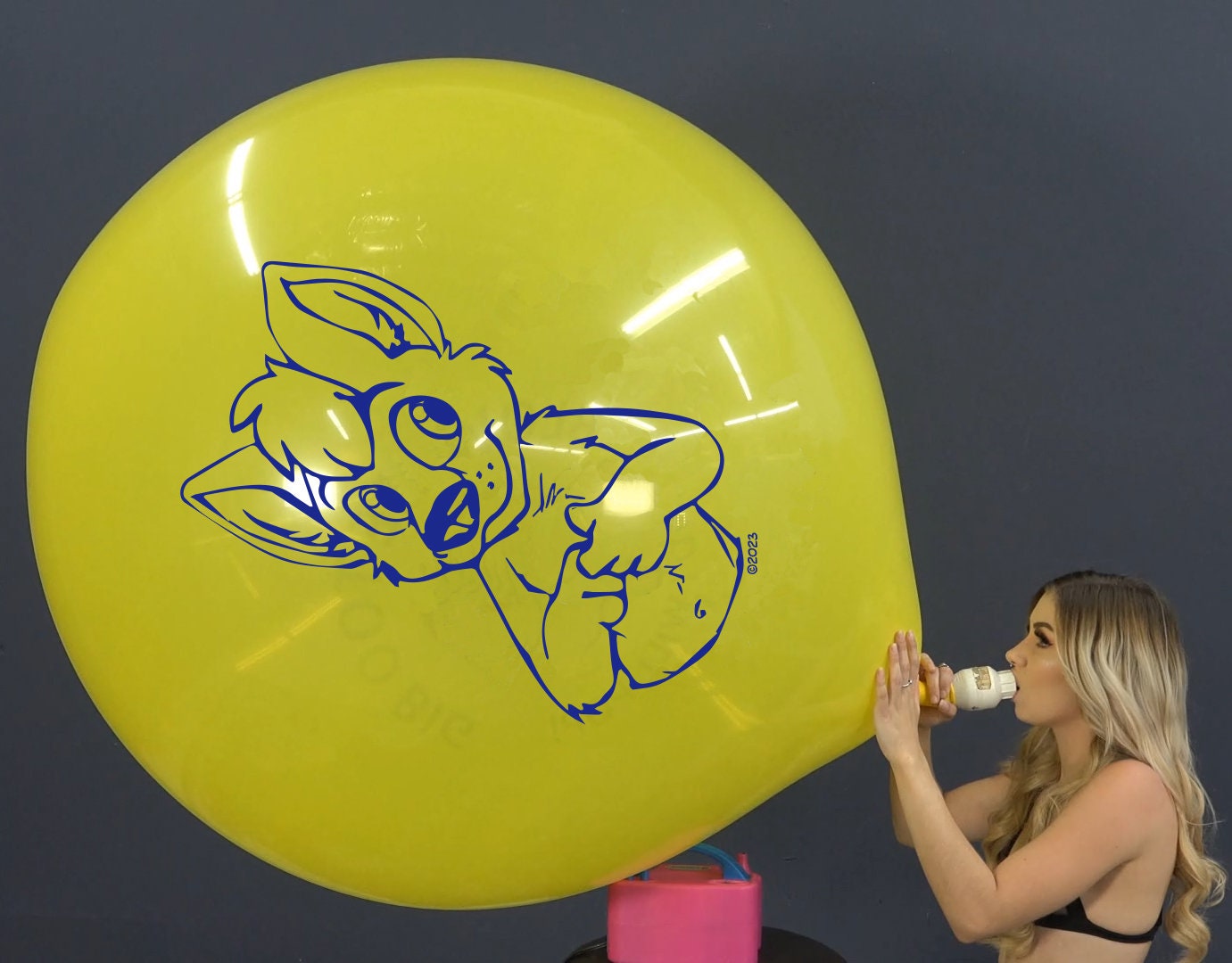 1x Big Cattex 36-45 Inch **furry Print** *mix Color* Looner Big Balloon ...