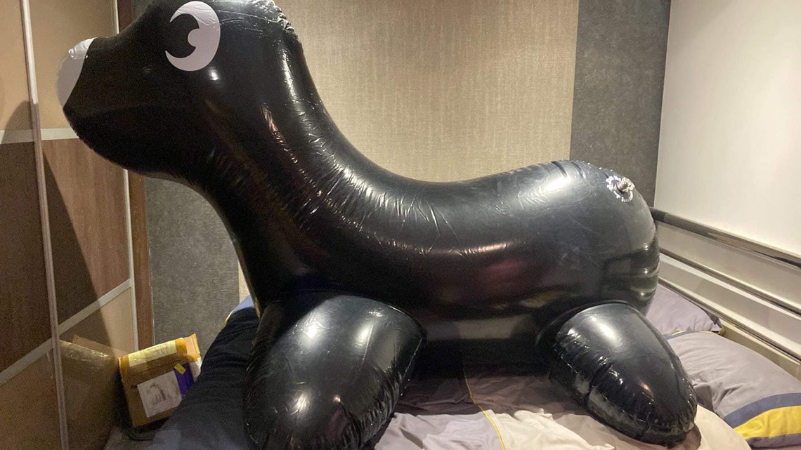 Huge Inflatable black Seal 6 Feet 2 Meter Shiny Pool Toy Big Inflatable ...