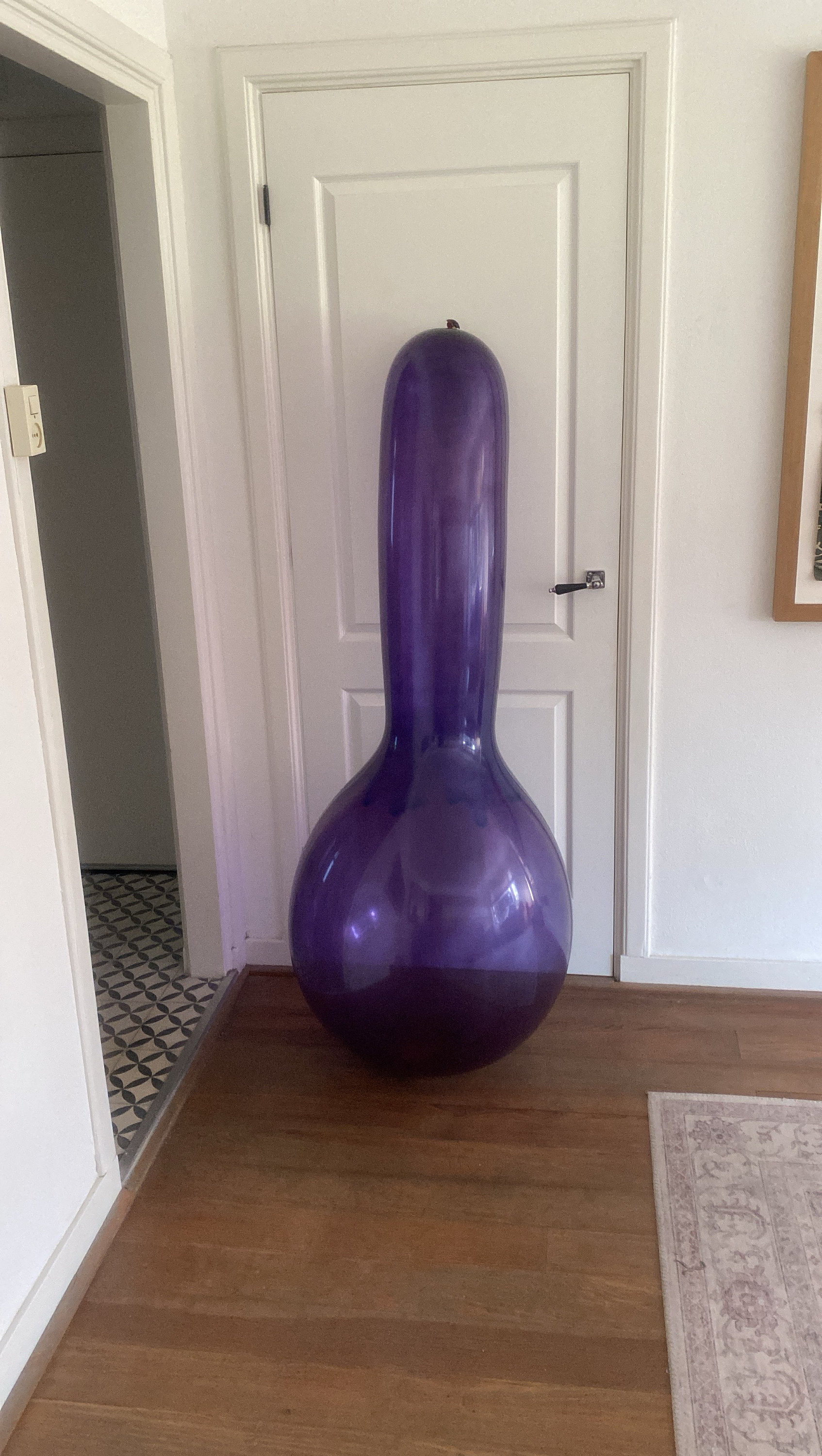 1x 26 Inch Q24 Clone Long Neck Balloon mix Colors Big Balloon Looner - Etsy