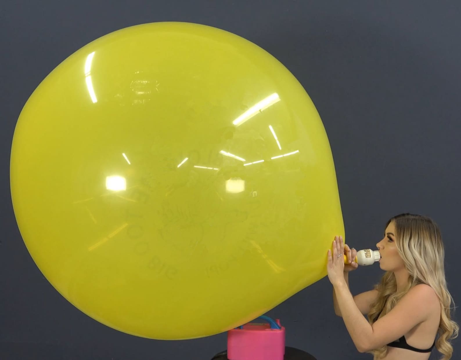 1x Big Cattex 36-45 Inch **MIX Color** Looner Big Latex Balloon - Etsy