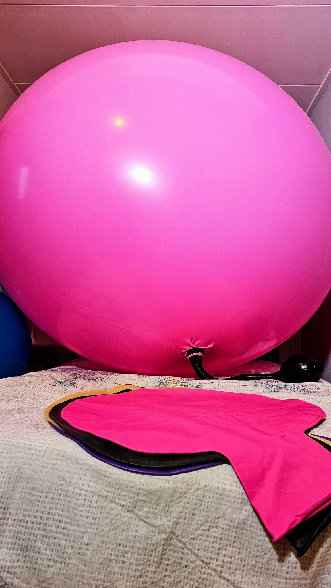 1x Big Cattex **JUMBO** 100!!! Inch *mix Solid Color* Big Balloon ...