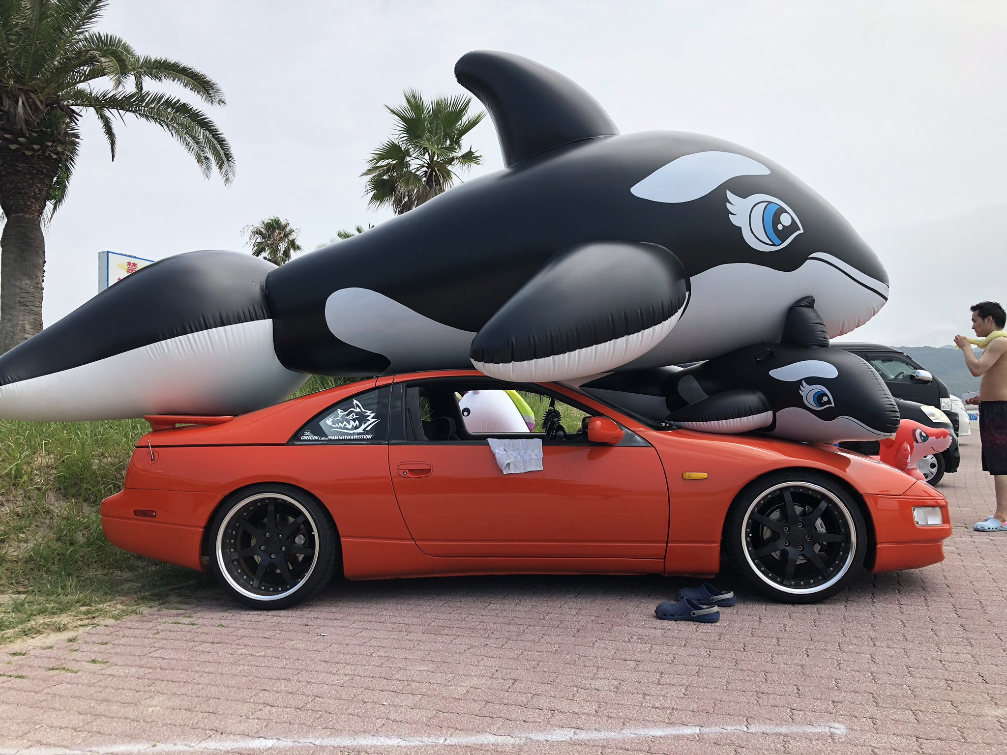 Huge black Whale 16 Feet/5 Meters Matte Pool Toy Big Inflatable - Etsy