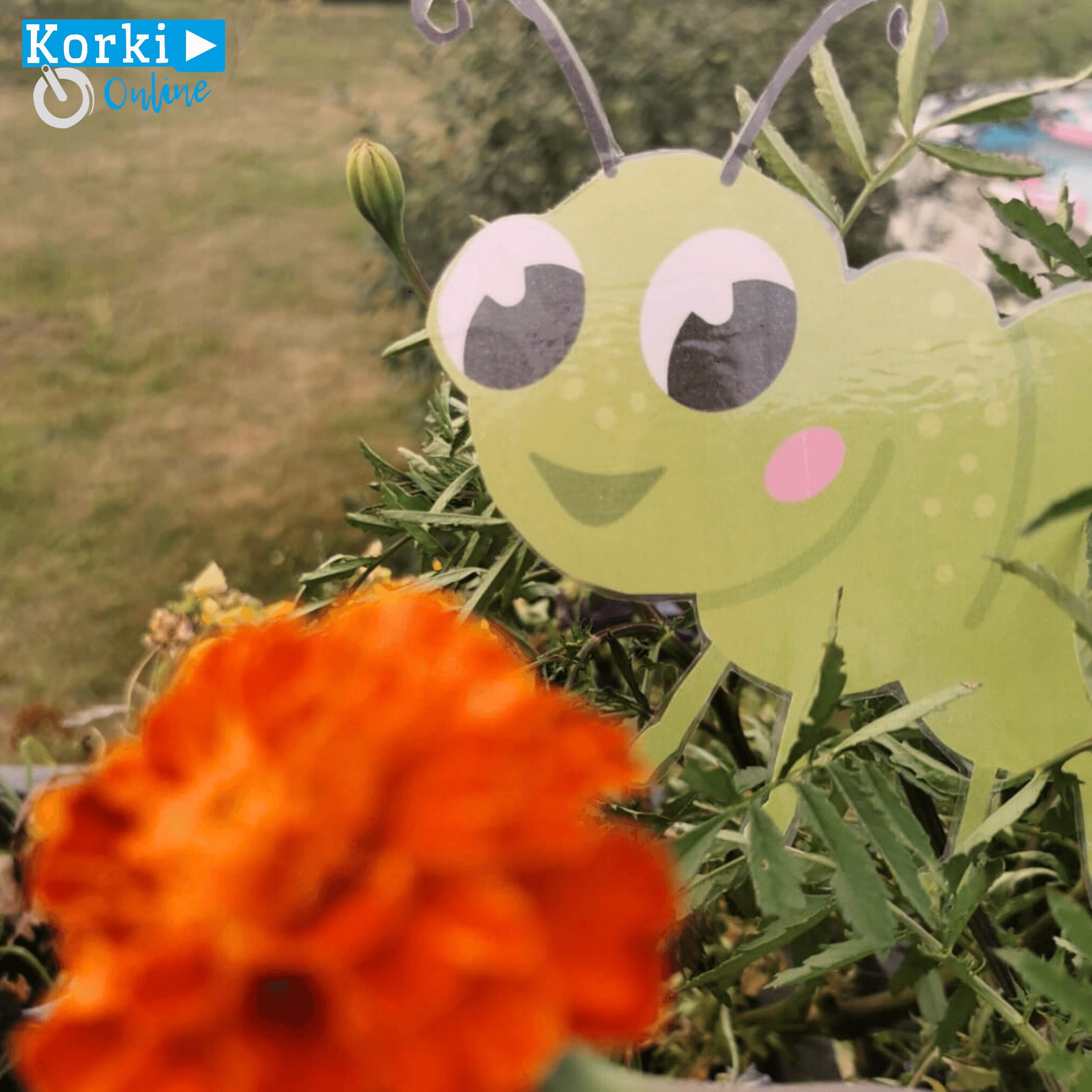 The Very Hungry Caterpillar, Counting Activity, Learn Colors, Count ...