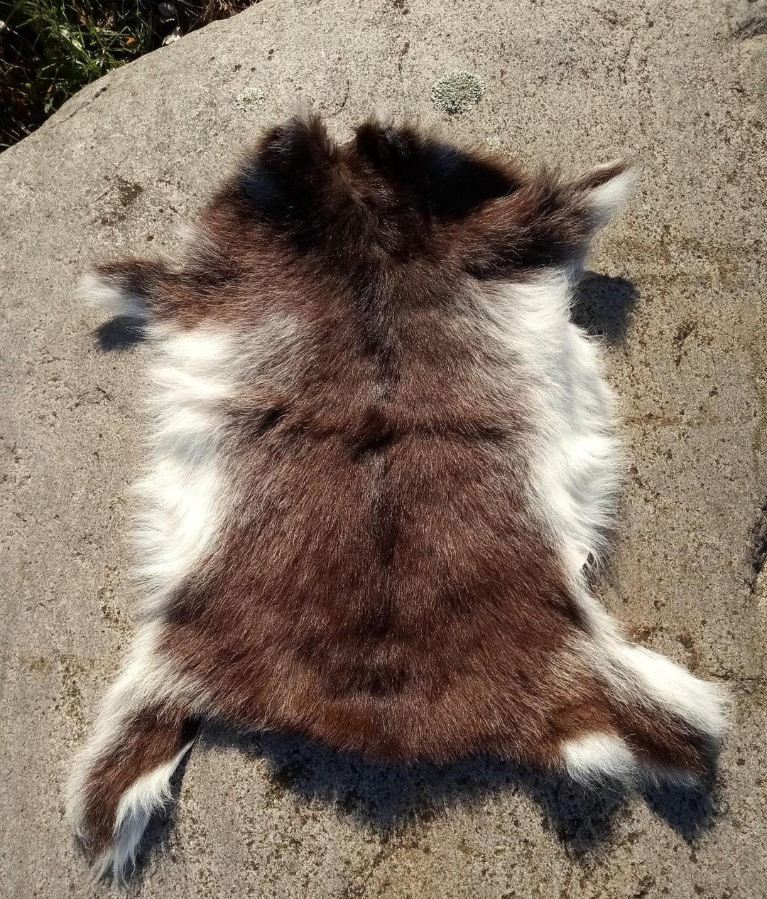 Goat Skin - Etsy