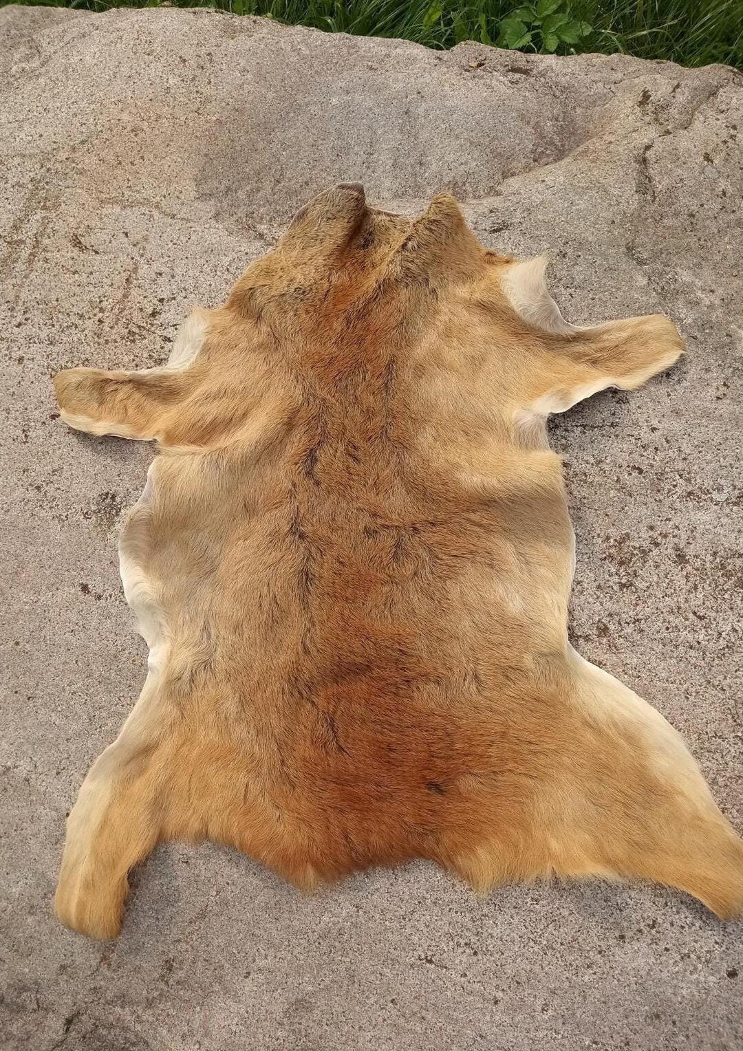 Roe Deer Skin - Etsy
