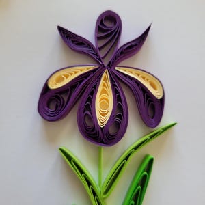 Quilled Iris & Lily Framed Wall Art: Handmade Paper Craft (8x8) - Etsy
