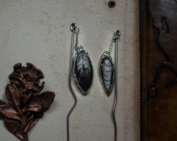 Orthoceras Ancient Cephalopod Fossil Hair Stick Pin Halloween - Etsy