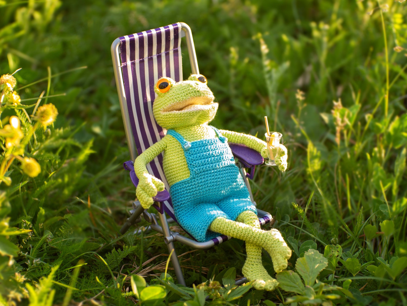 Frog Outfit Crochet Pattern - Etsy