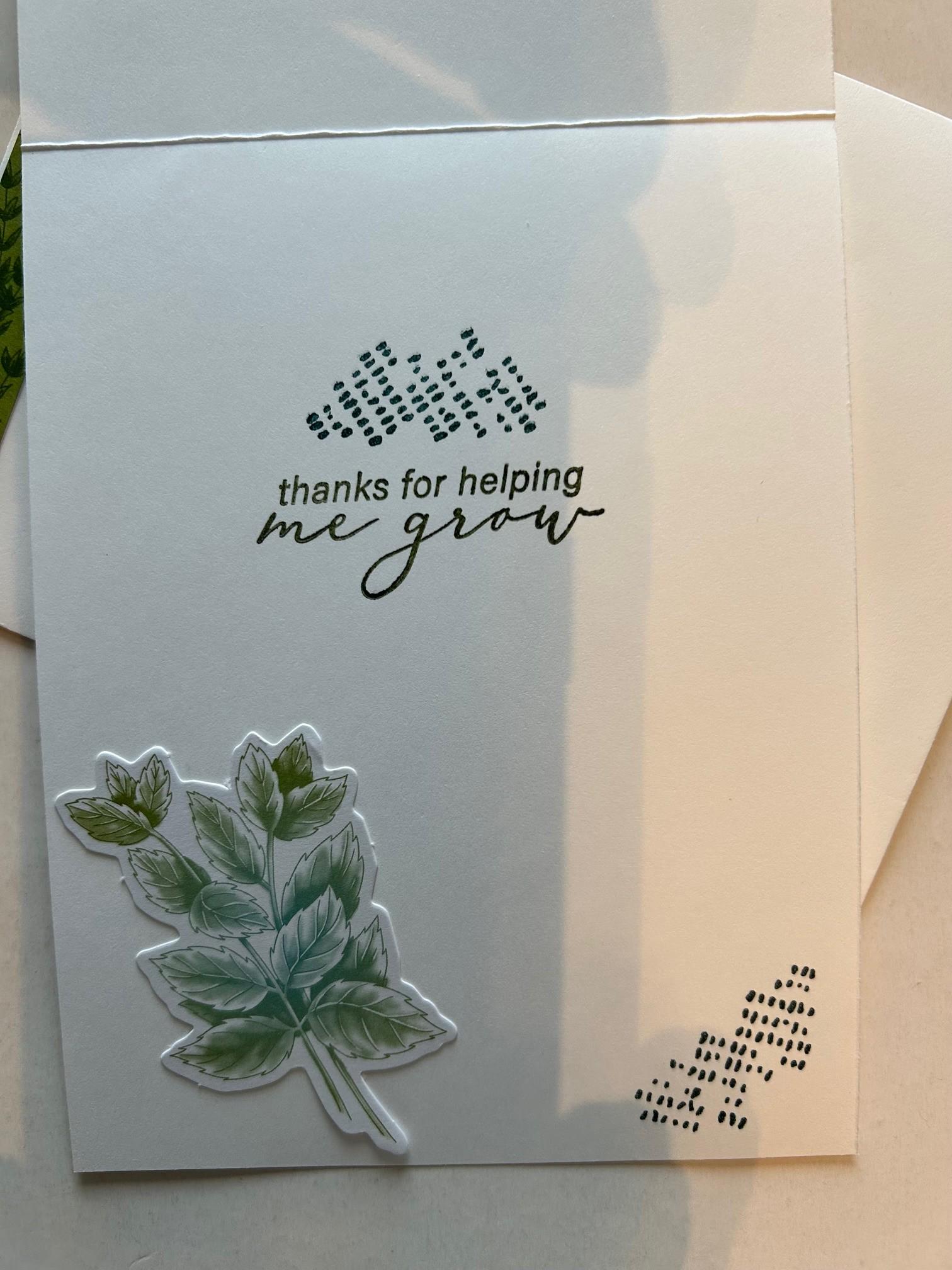 Handcrafted Herbal Friendship Cards, Springtime Greeting - Etsy