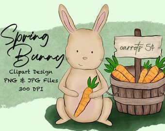 Woodland Animals Clip Art 15 300 DPI PNG & JPG Files - Etsy