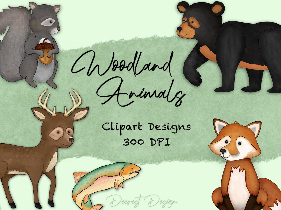 Woodland Animals Clip Art- 15 (300 DPI) PNG & JPG Files - Etsy