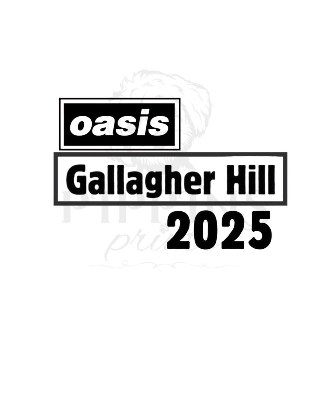 Oasis 2025 Reunion Fan Art PNG | Gallagher Hill Digital Download ...