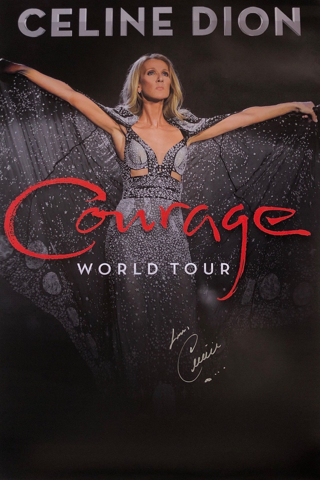 Autograph Signed Celine Dion Poster COA - Etsy