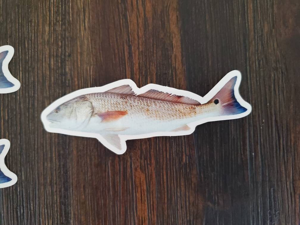 Redfish Sticker 3 Pack Redfish Decal Yeti Stickers - Etsy