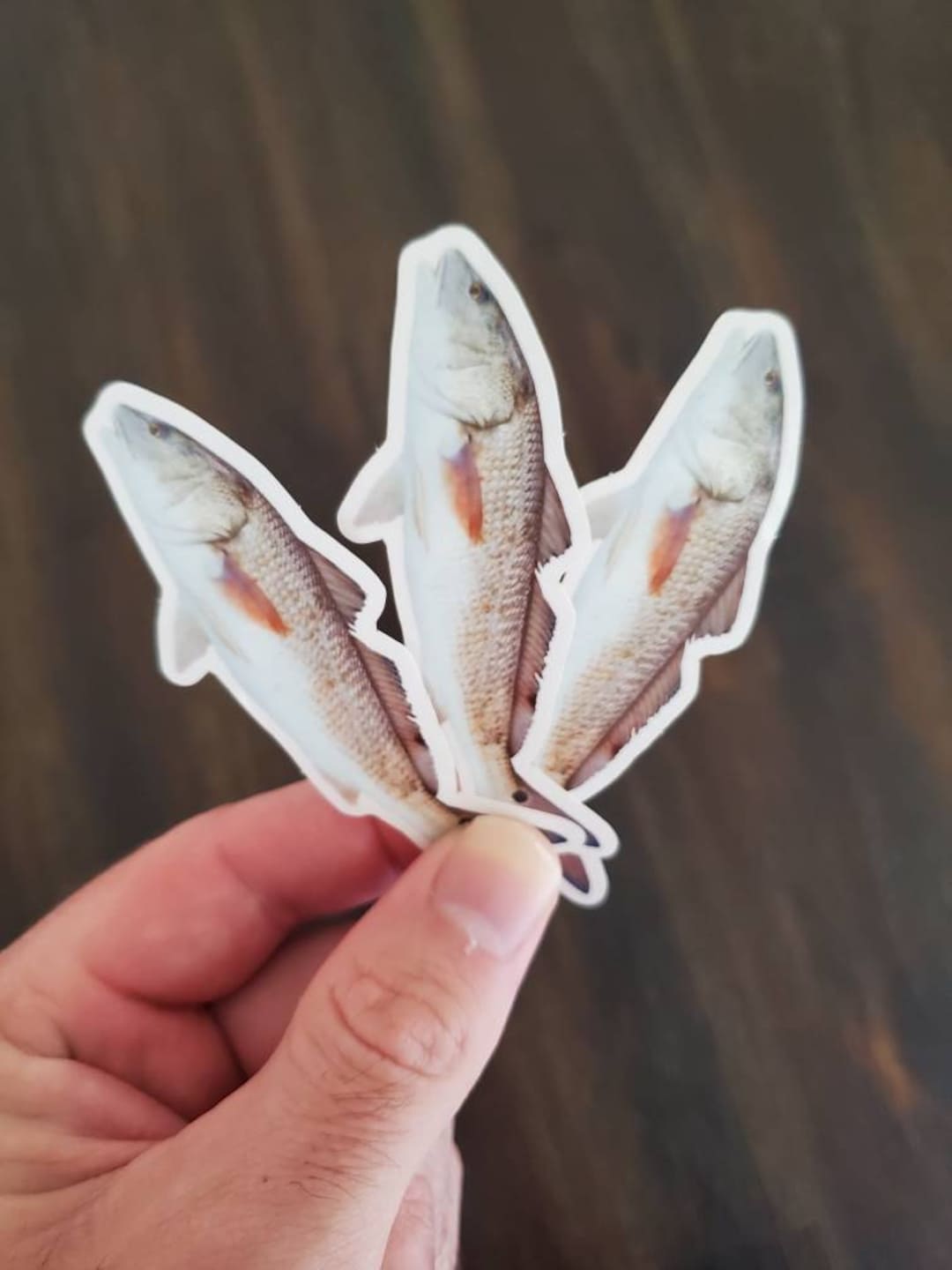 Redfish Sticker 3 Pack Redfish Decal Yeti Stickers - Etsy