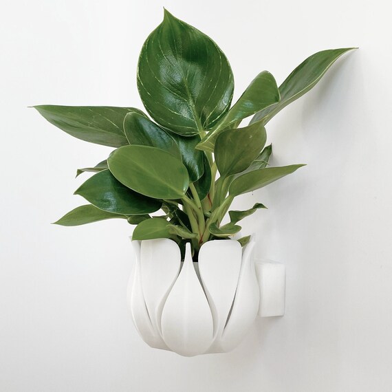 Biophilic Wall Pot Eden - Etsy
