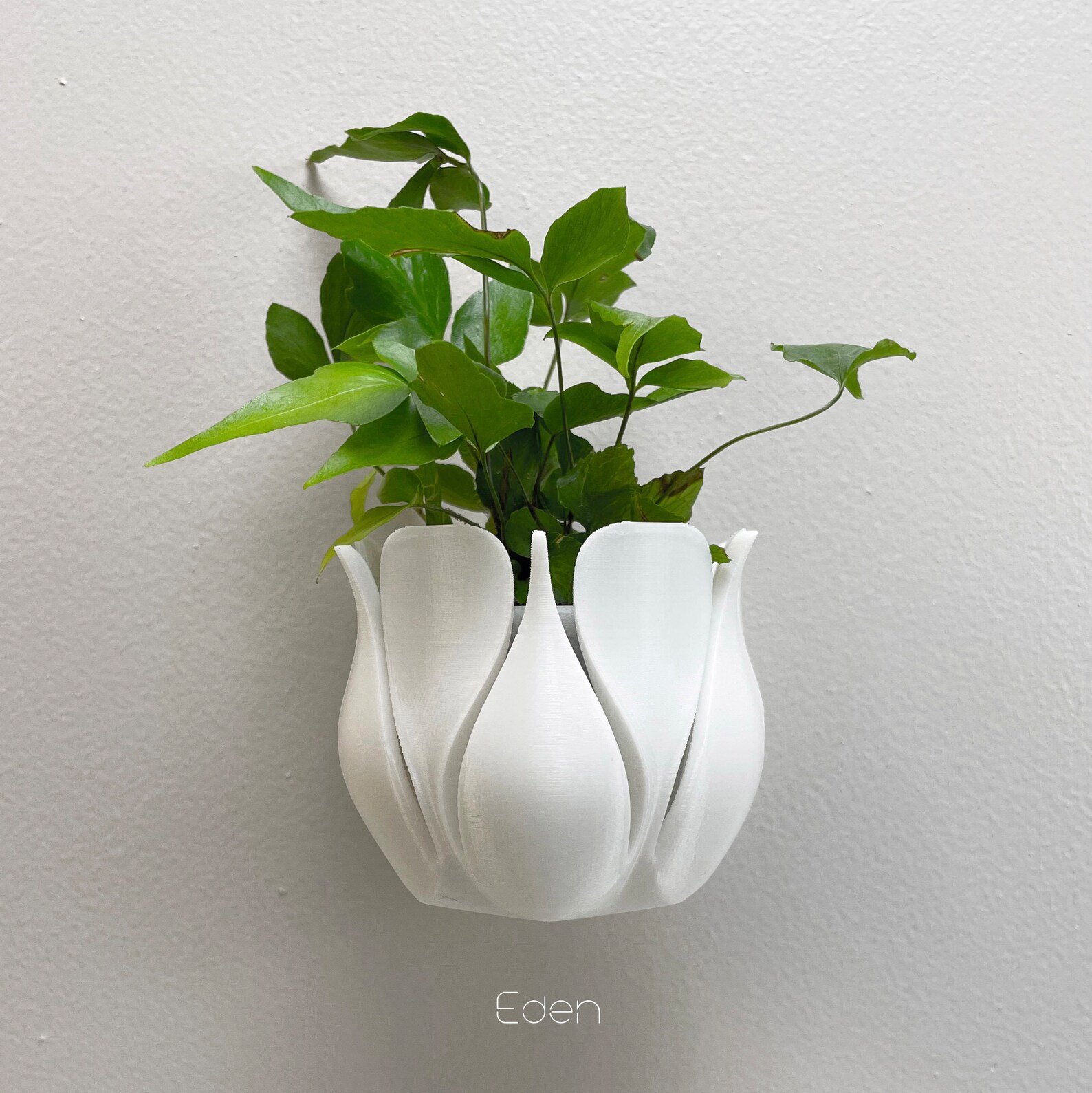 Wall Planter Green Wall - Etsy