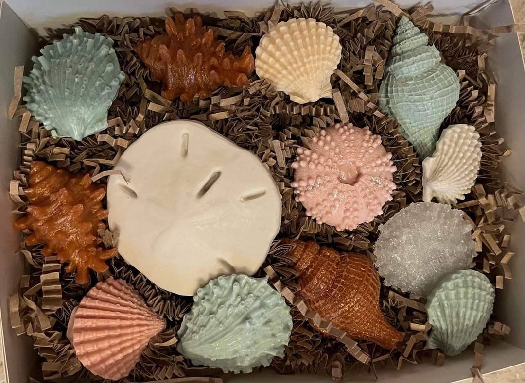 Seashell Soap - Etsy