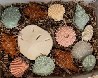 Ocean Soap Beach Soap Seashell Soap Nautical Soap Beach - Etsy