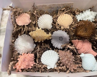 Seashell Soap - Etsy