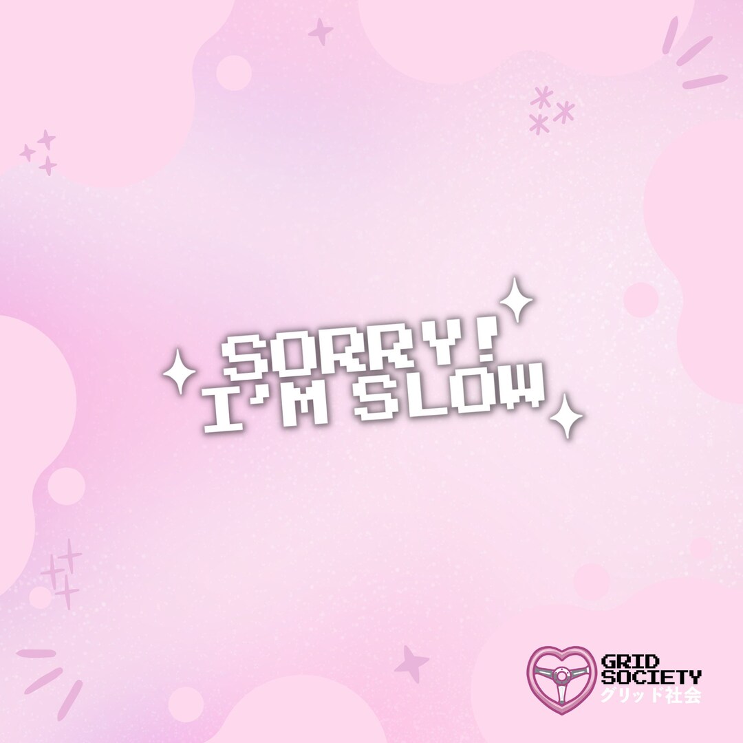 Sorry I'm Slow Vinyl Decal Pixel Font Black, White, Holographic, Pink ...