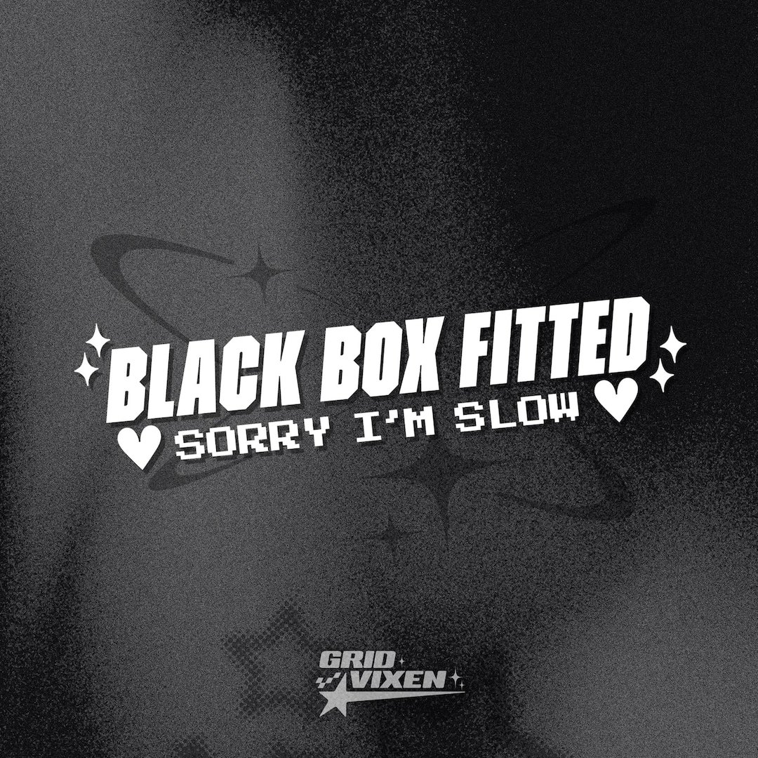 Black Box Fitted Bumper Sticker | Cute New Driver Decal | 20cm | Sorry ...