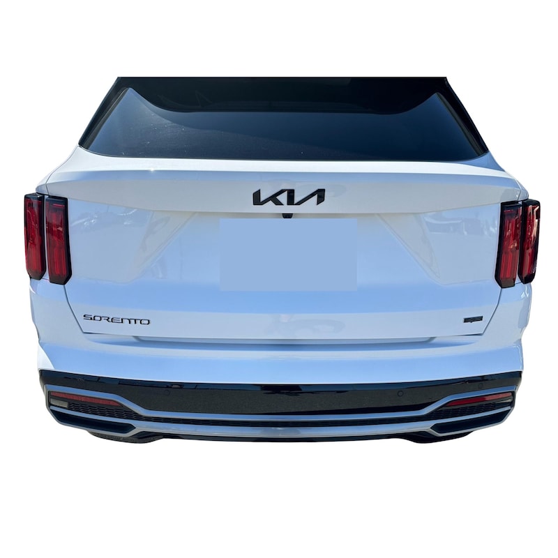 Leopard Emblem Overlay - Etsy