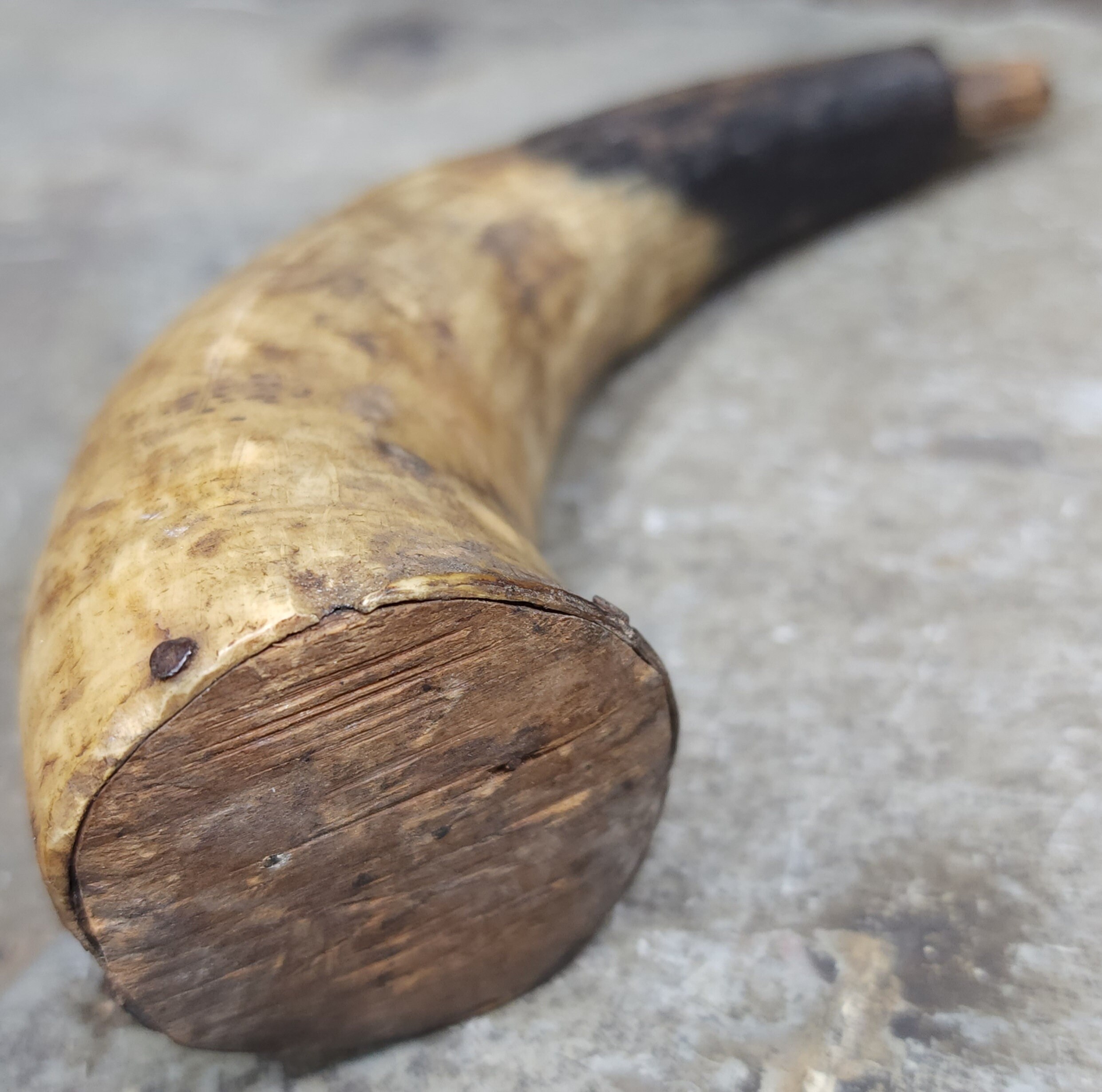 Antique Handmade Muzzle Loader Gun Powder Horn Real Cow Horn Shot Flask ...