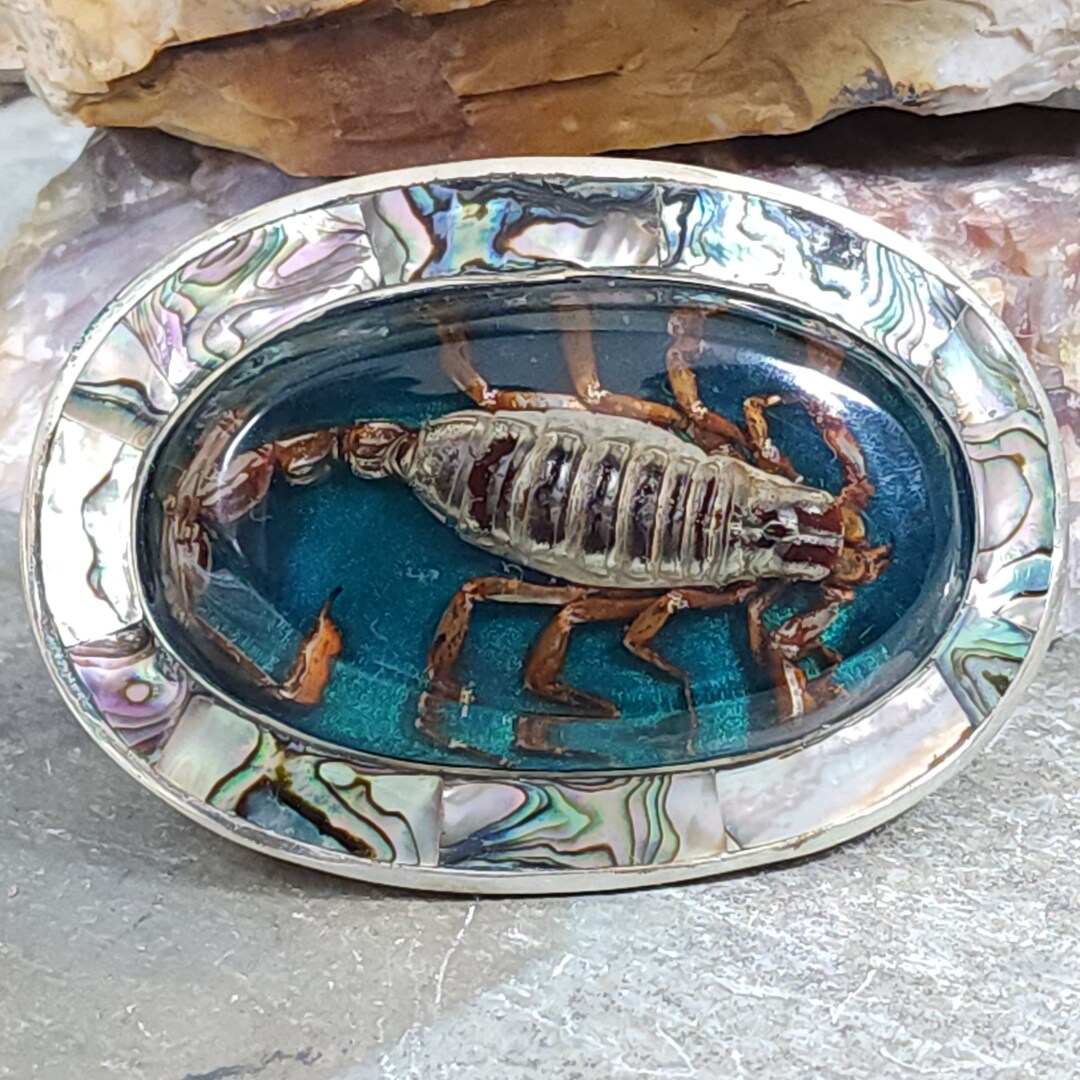 Vintage Mexican Alpaca Belt Buckle Lucite Encased Scorpion Abalone ...