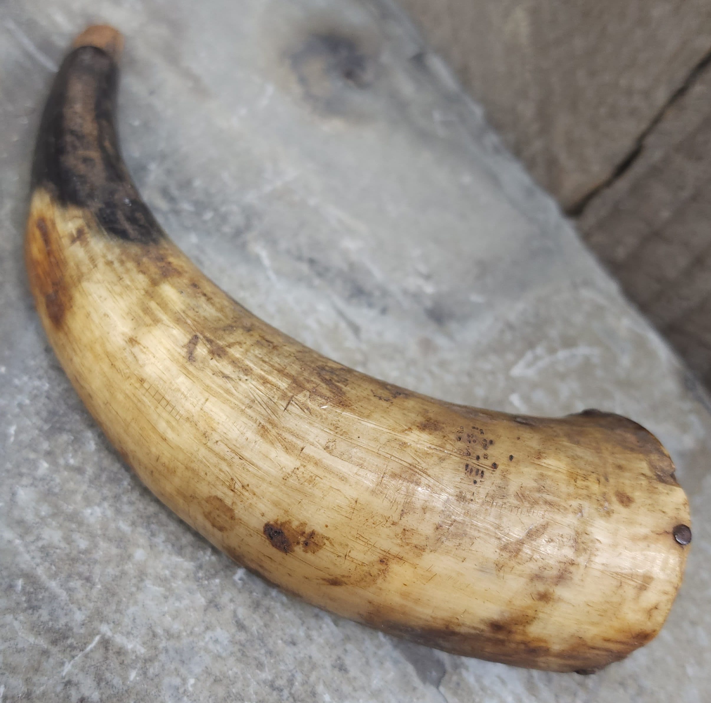 Antique Handmade Muzzle Loader Gun Powder Horn Real Cow Horn Shot Flask ...