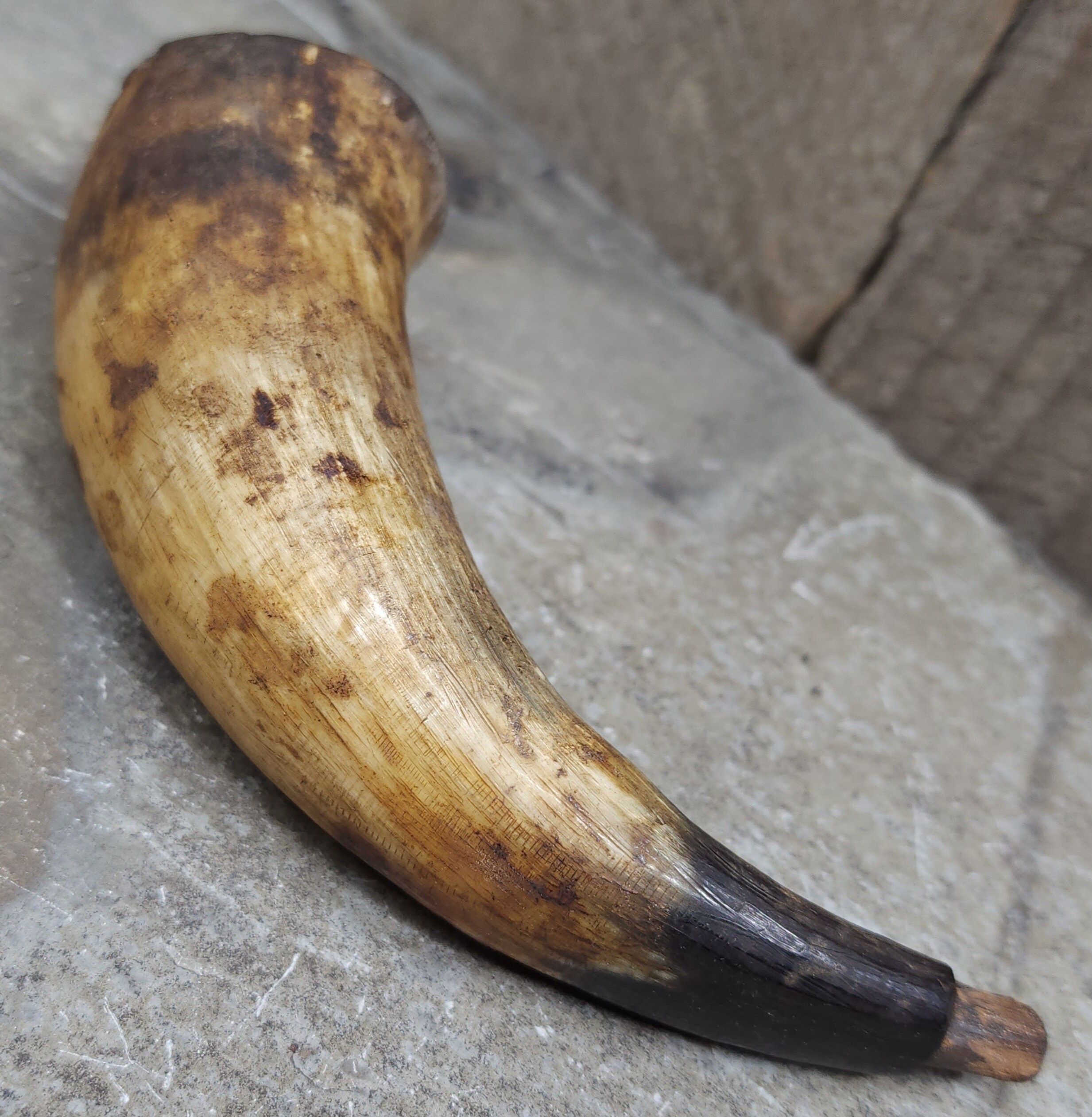 Antique Handmade Muzzle Loader Gun Powder Horn Real Cow Horn Shot Flask ...