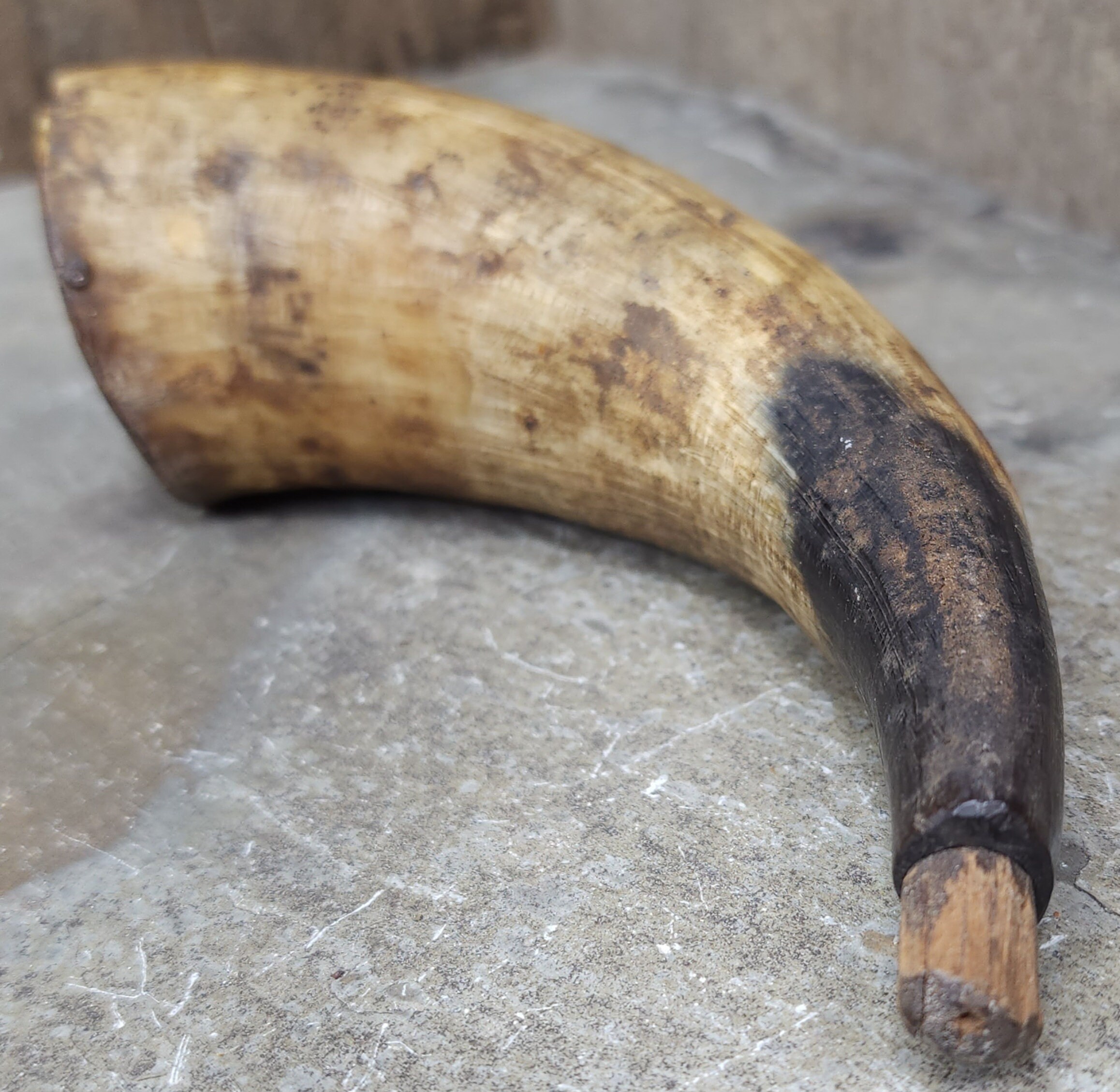 Antique Handmade Muzzle Loader Gun Powder Horn Real Cow Horn Shot Flask ...