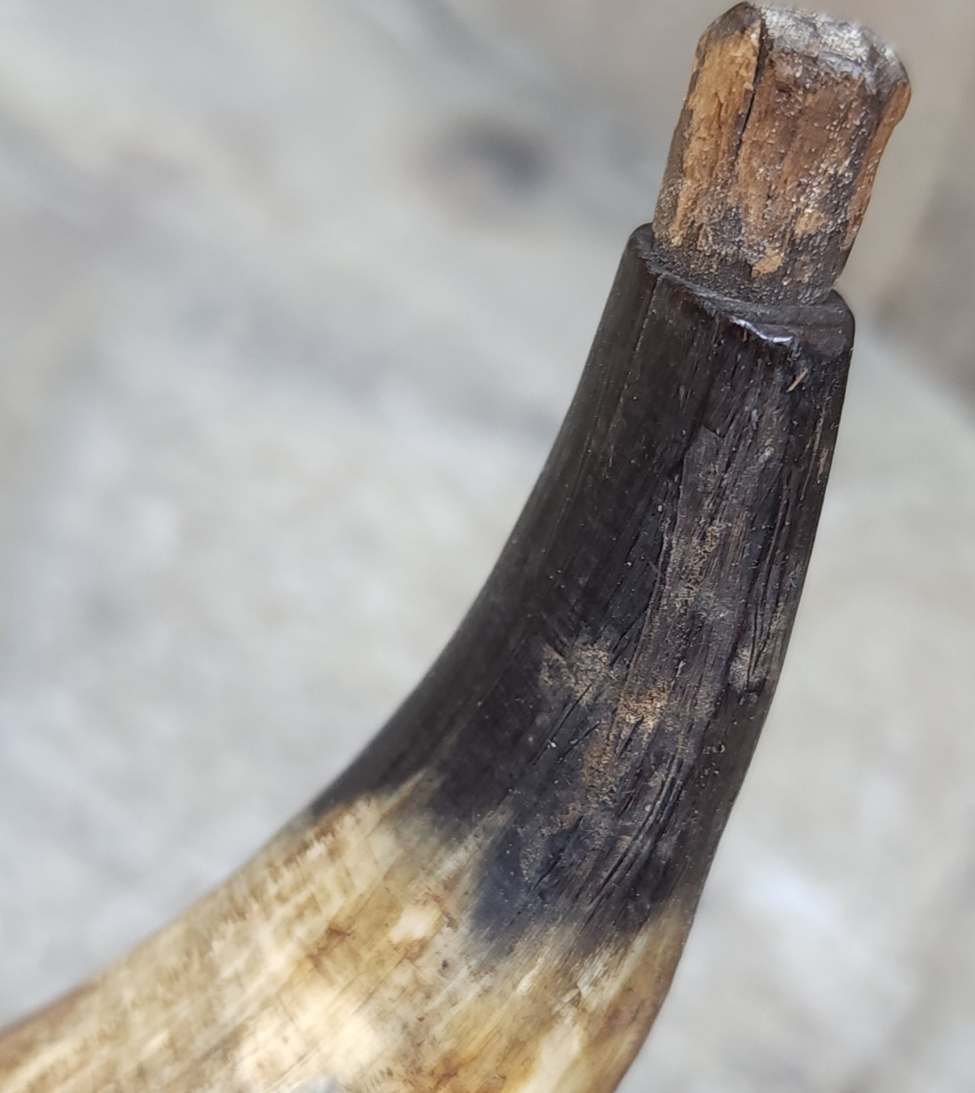 Antique Handmade Muzzle Loader Gun Powder Horn Real Cow Horn Shot Flask ...