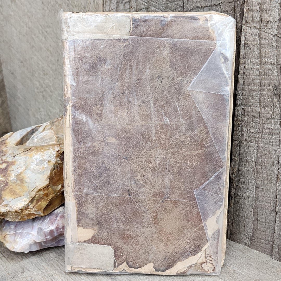 Antique C. 1900 Hand-written Journal Diary Book 200+ Pages Personal ...